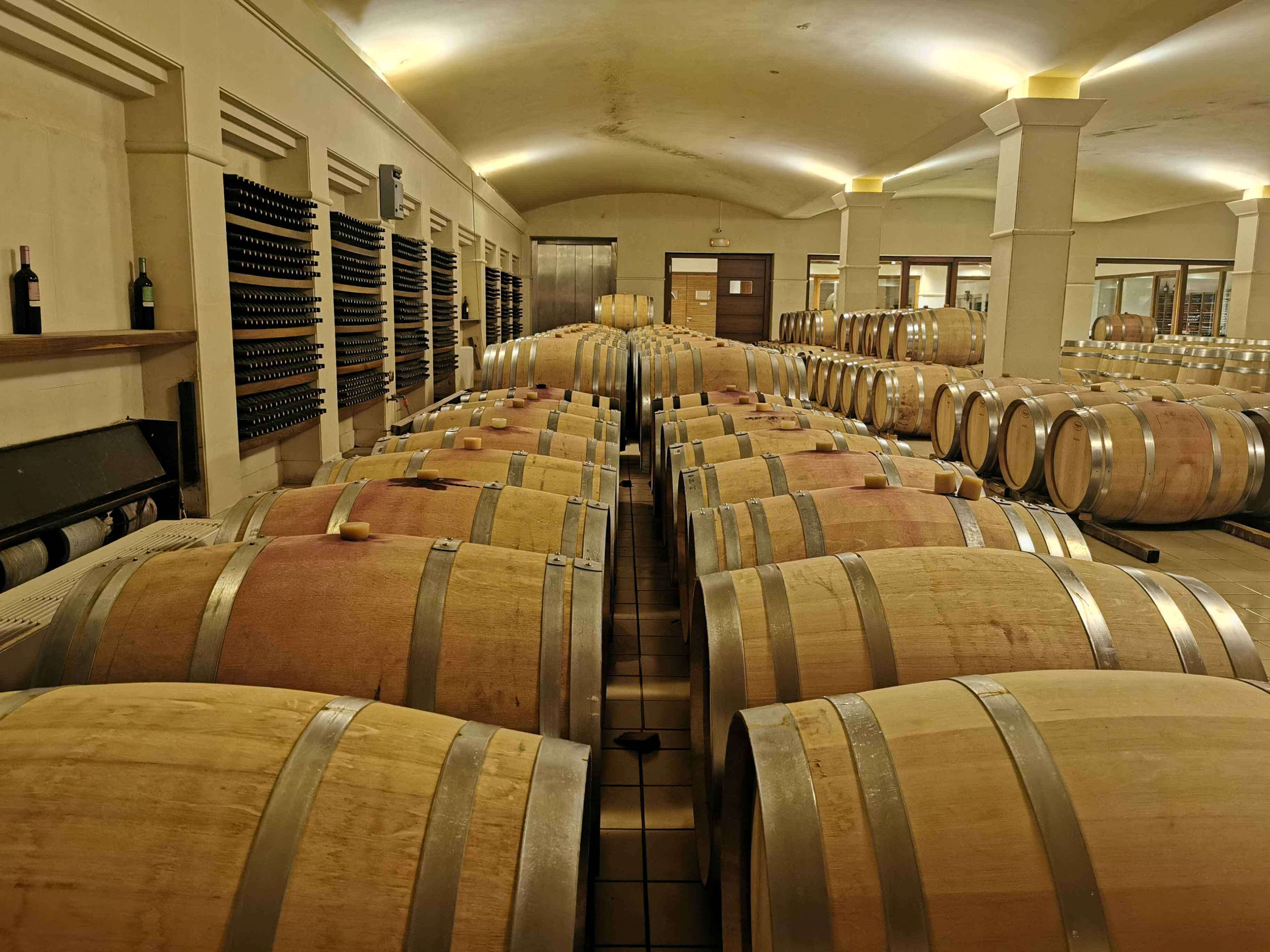 Business Story #20: Κτήμα Παυλίδης - Pavlidis_Terroir | ena Σύμβουλοι ...